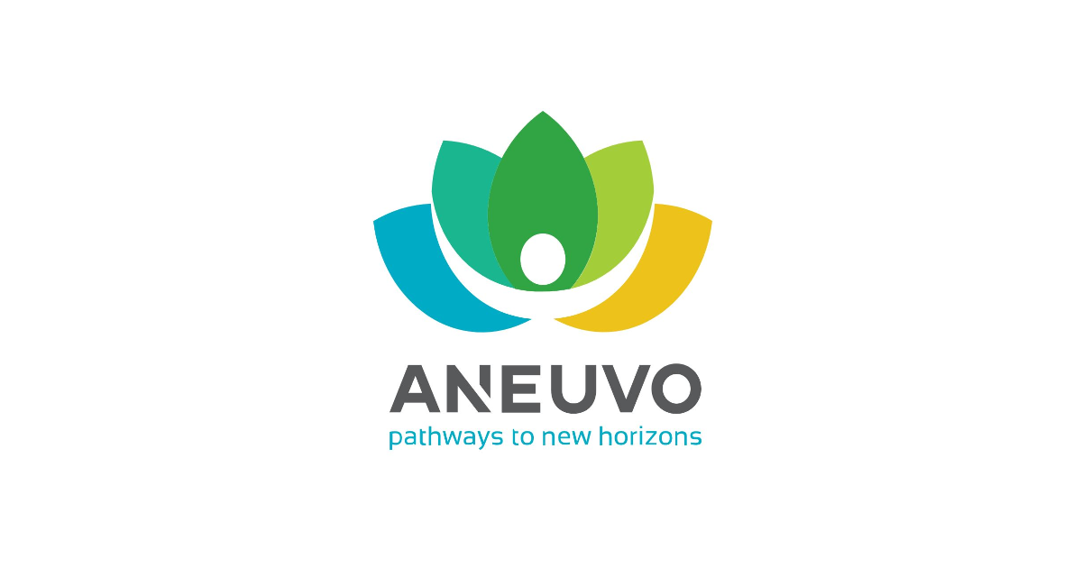 Aneuvo